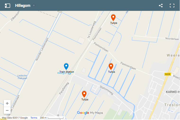 A Great Free Alternative to Keukenhof Gardens | Amsterdam for Visitors